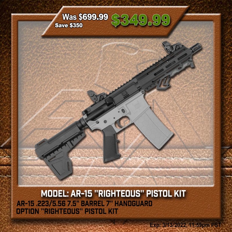 AR-15 .223 5.56 / AR-10 / LR-308 Steel Buffer Retainer Detent /Pins ...